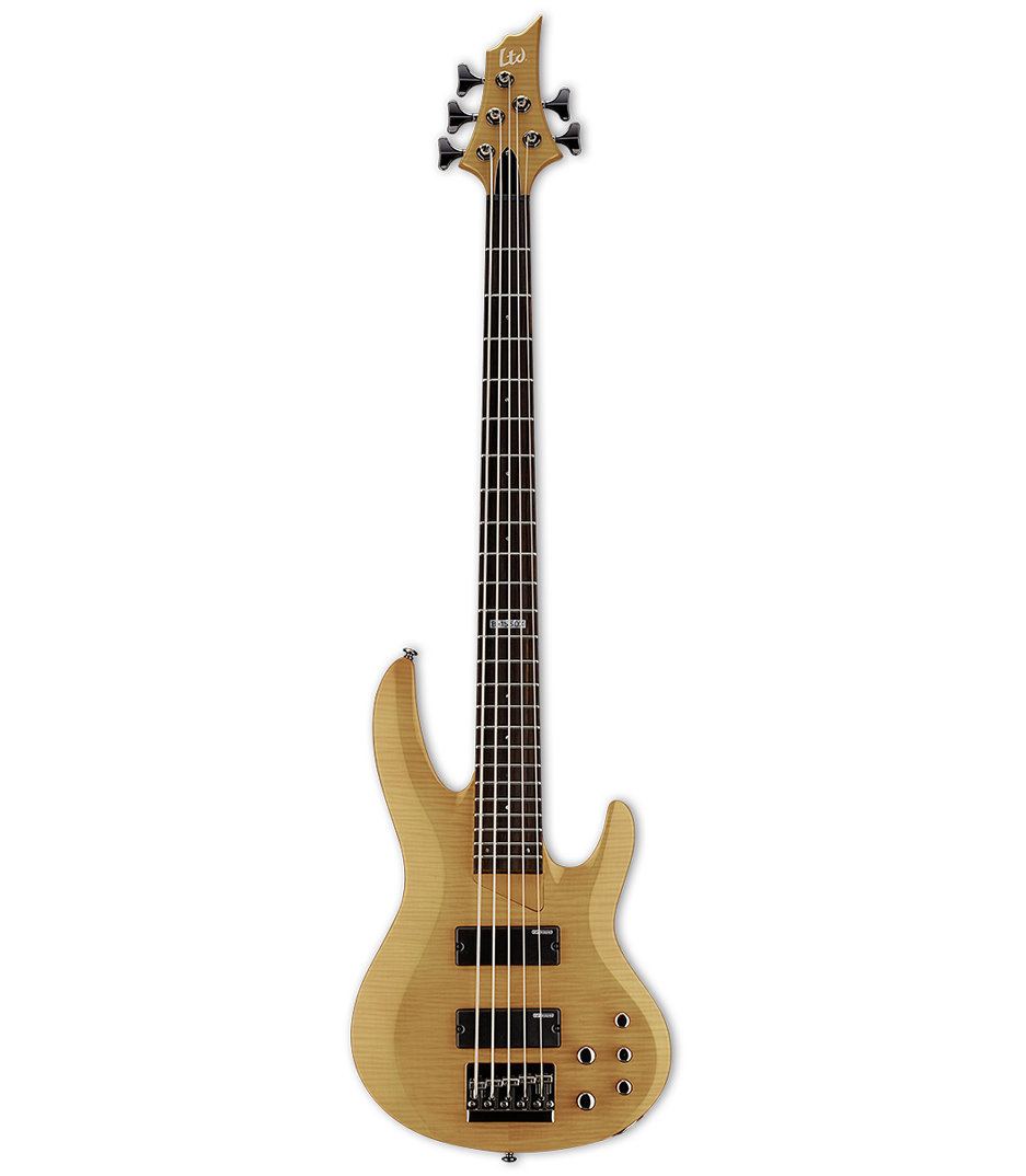 Best Electric Bass Guitars For Sale Online - Bass Guitars Price